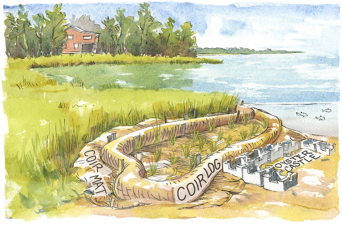 Site-Scale Green Infrastructure - DNREC