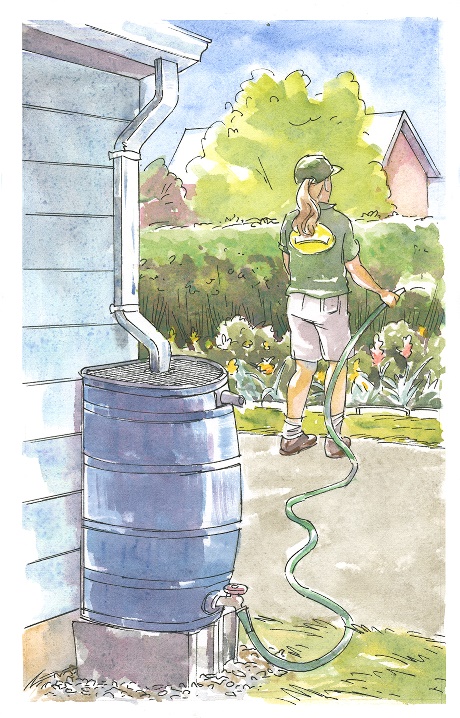 Site-Scale Green Infrastructure - DNREC