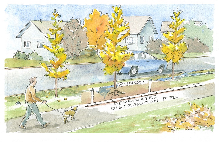 Site-Scale Green Infrastructure - DNREC