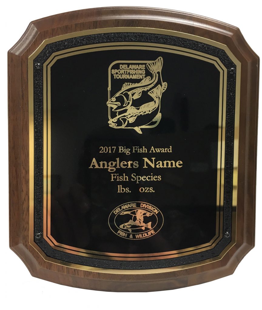 Delaware Sport Fishing Tournament - DNREC
