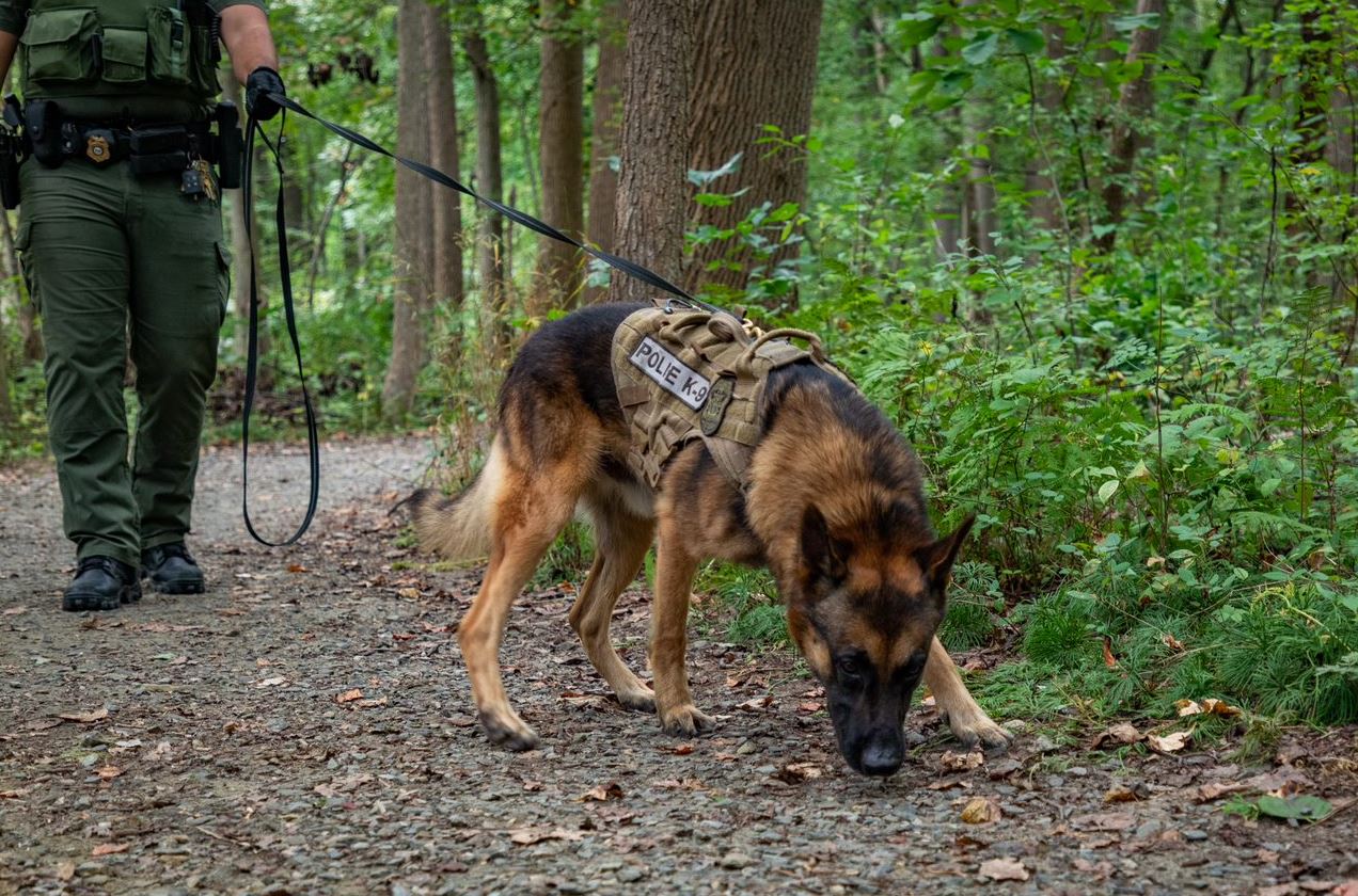 K-9s – DNREC’s Natural Resources Police Superpower - DNREC