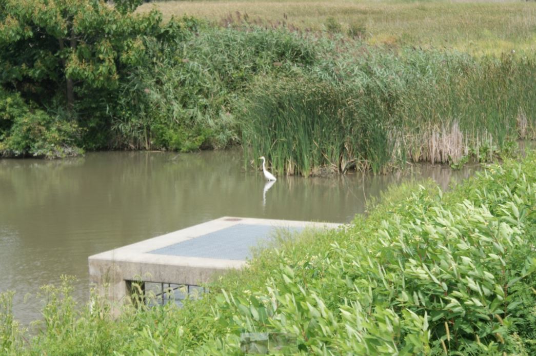 City of New Castle Ecosystem Assessment and Enhancement Project - DNREC