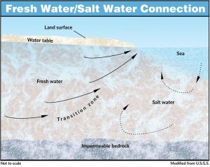 Salt in Our Water - Saltwater Intrusion and Inundation in Delaware - DNREC