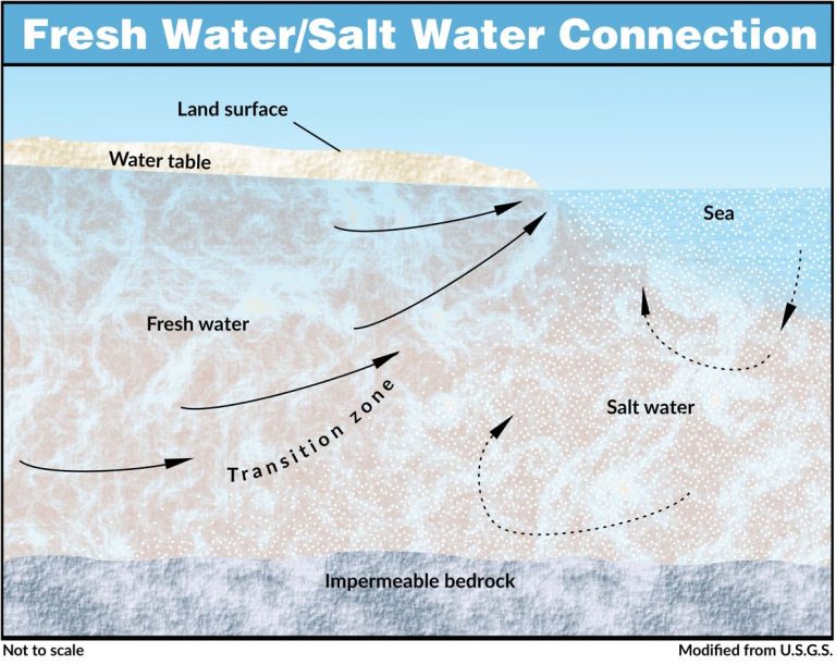 Salt in Our Water - Saltwater Intrusion and Inundation in Delaware - DNREC