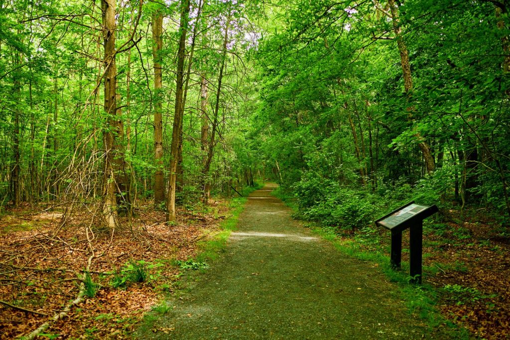At One With Nature: Delaware’s Nature Preserves - DNREC