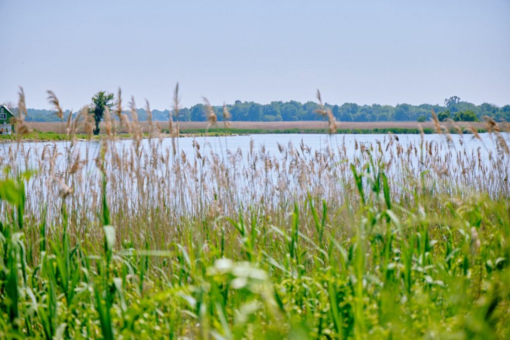 At One With Nature: Delaware’s Nature Preserves - DNREC
