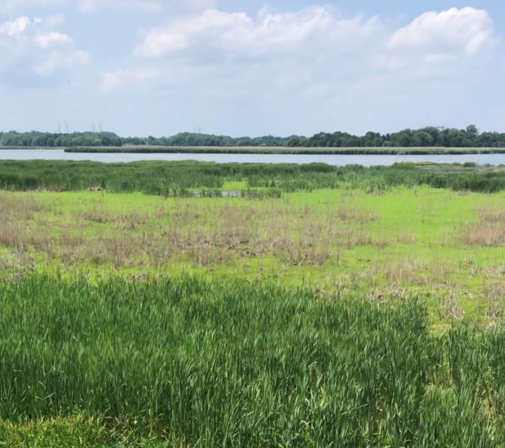 At One With Nature: Delaware’s Nature Preserves - DNREC