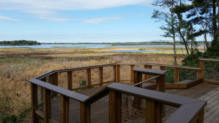 Wildlife Viewing in Delaware’s State Wildlife Areas - DNREC