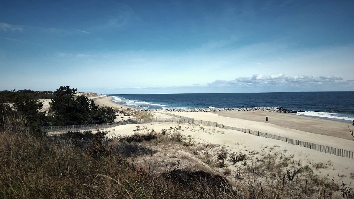 Beaches and Shorelines - DNREC