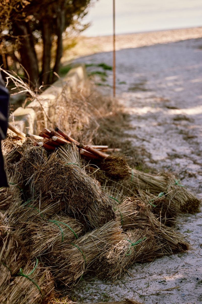 Hundreds of Coastal Guardians Unite to Strengthen Dunes Along Delaware ...