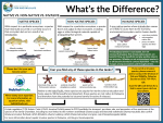 Unseen Intruders: Delaware’s Battle Against Invasive Species ...