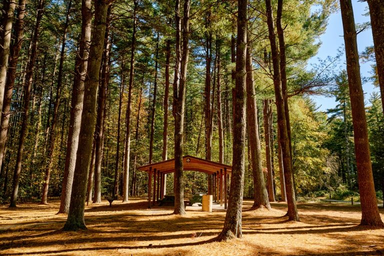 Delaware's Natural Beauty Shines in Fall - DNREC