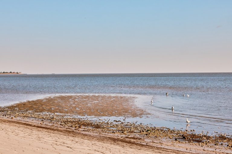 A History of Earth Day in Delaware - DNREC