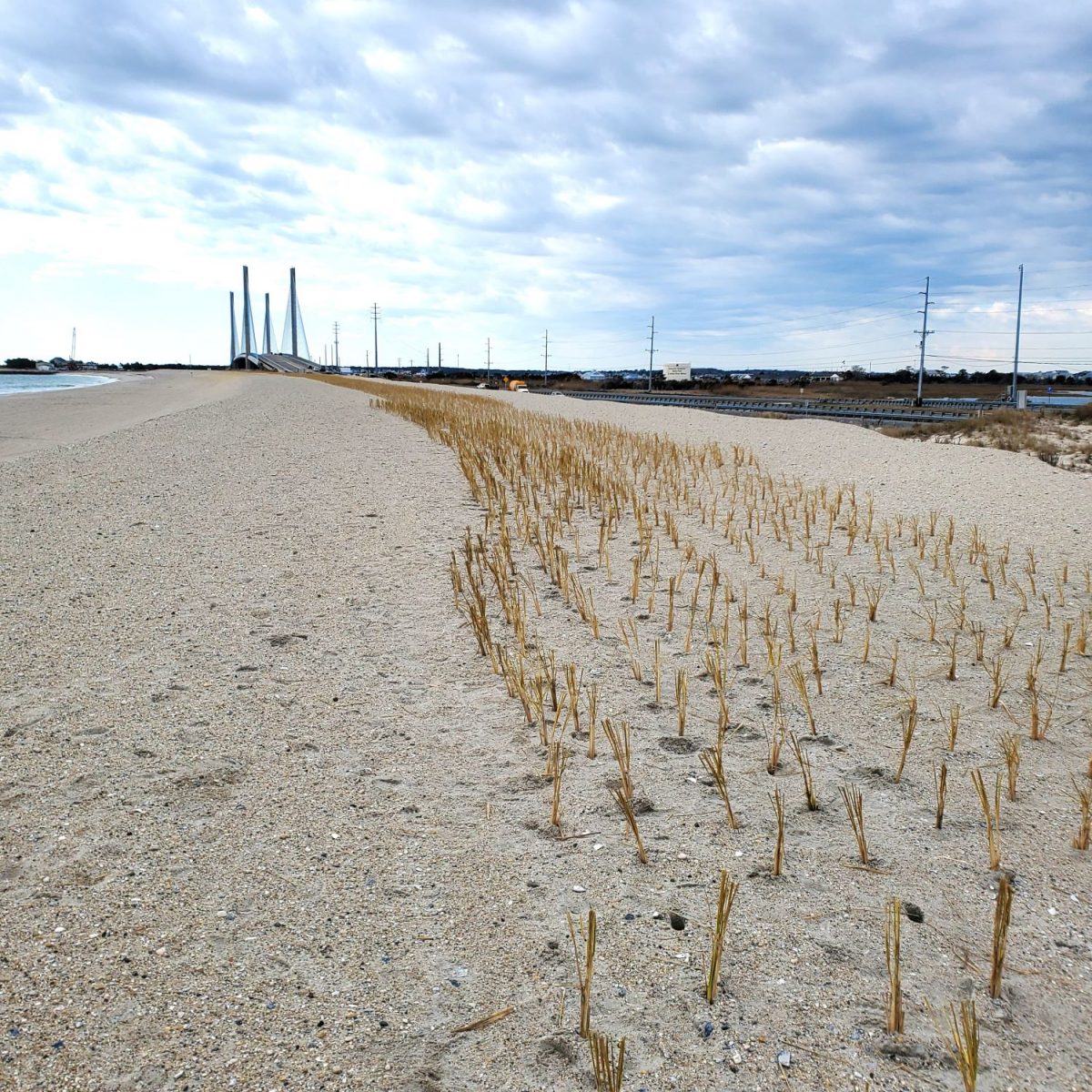 Indian River Inlet North Beach Repair Project - DNREC