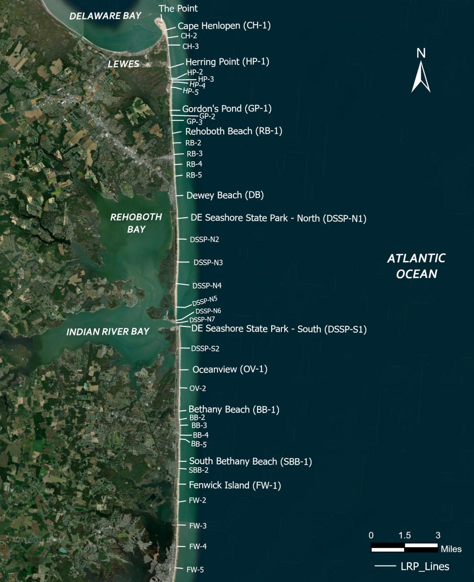 Beaches and Shorelines - DNREC
