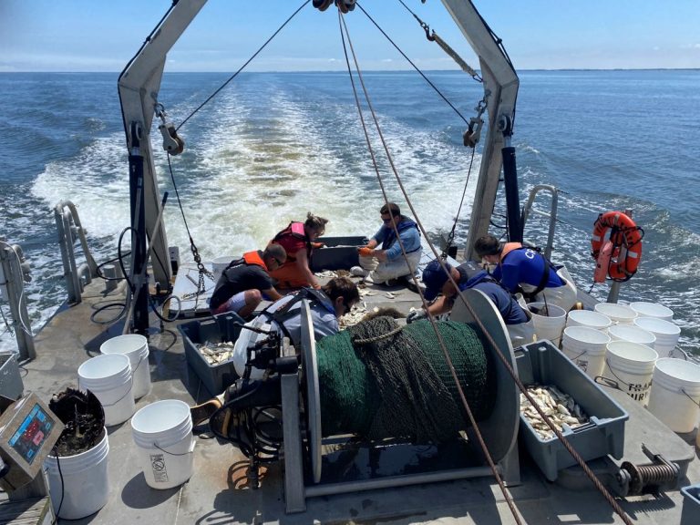 Trawl Survey Program - DNREC